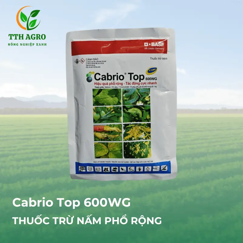 Cabrio Top 600WG Trị Nấm - TH FARM CARE