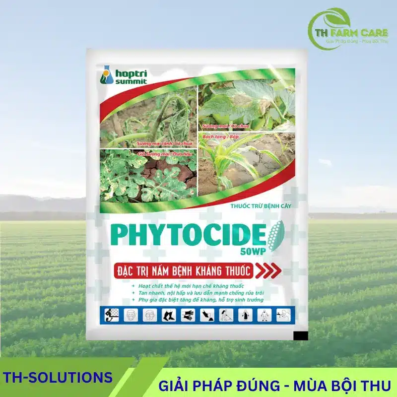 Phytocide 50WP – Đặc trị nấm bệnh kháng thuốc hiệu quả trên cà chua ...